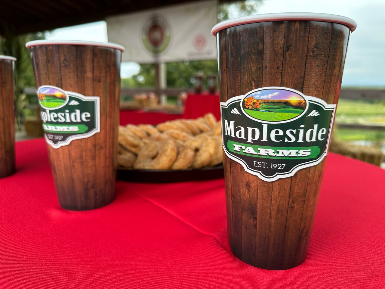 Fall festival season kicks off at Mapleside Farms